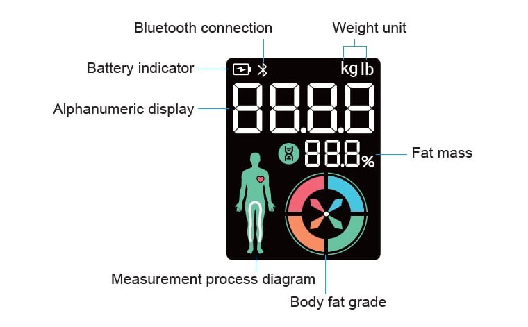 BNETA Colour LCD Smart Body Scale CS20M - Stemar Shop